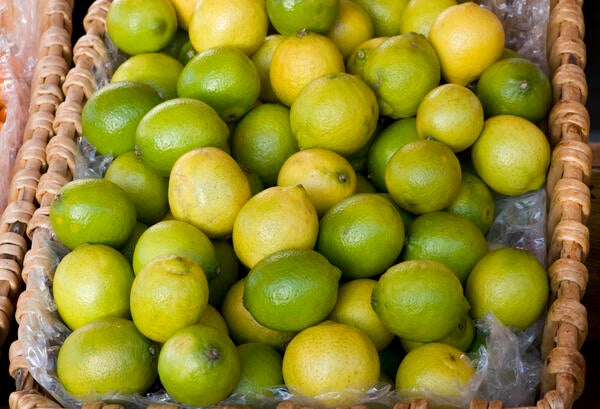 Bearss lime | Givaudan Citrus Variety Collection at UCR Bearss lime | Givaudan Citrus Variety Collection at UCR